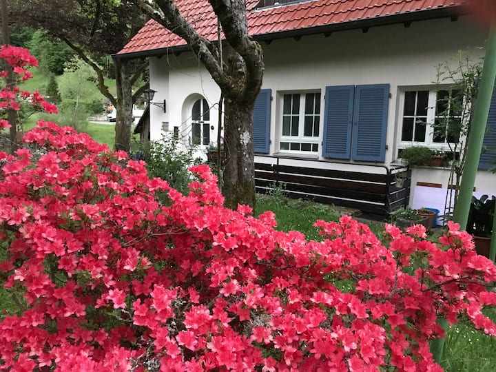Baden-baden *Wohnen Wie Daheim *Stadtnah*naturnah* - Baden-Baden