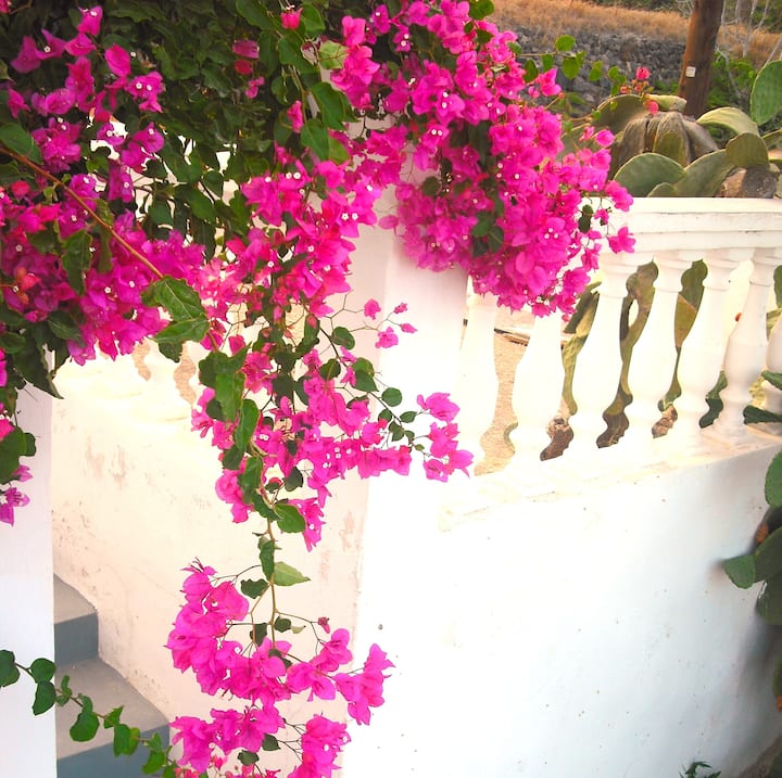 !Our Cosy House! - Szantorini