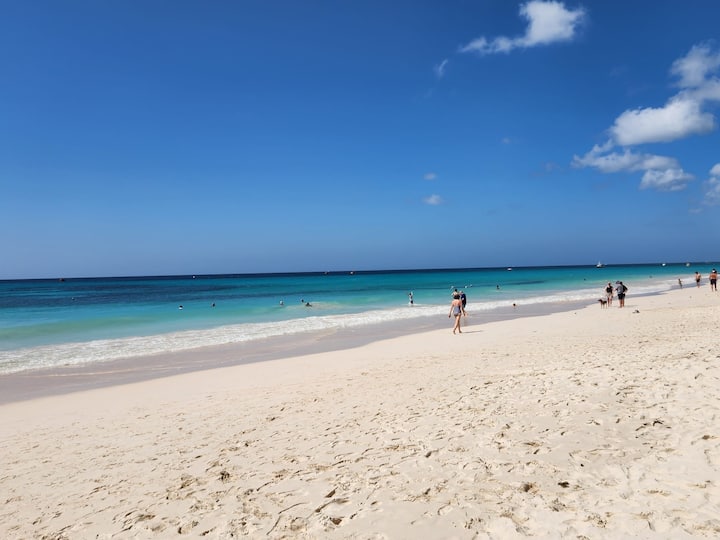 Coconut View Near Miami Beach - Barbados