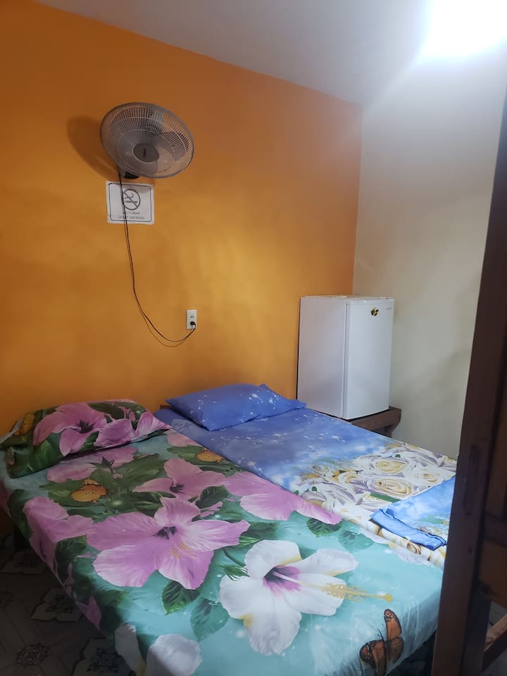 Casa Señora Fe 2 - Havana