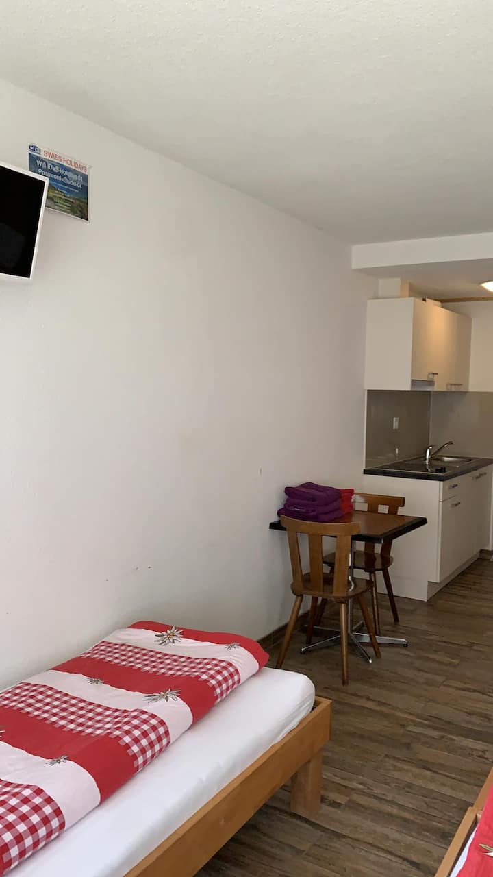 Studio -4 Ringgenberg 3 Persons - Interlaken