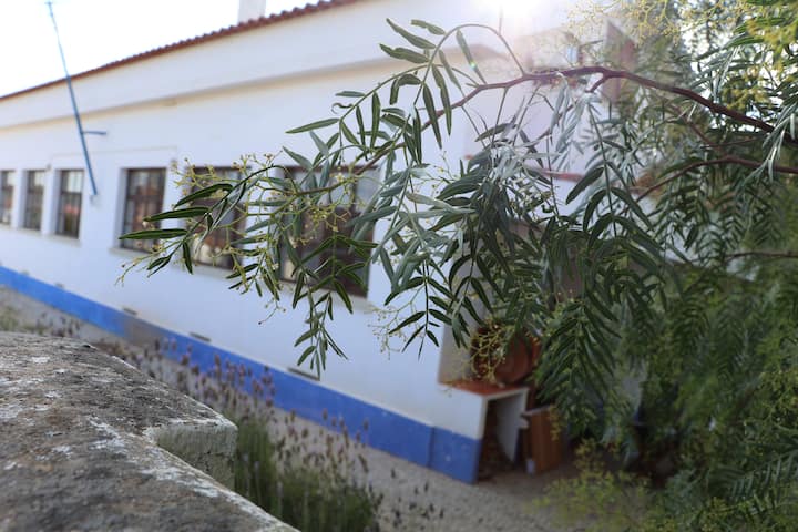 School House Of S. Romão, Panóias/ourique/alentejo - Messejana