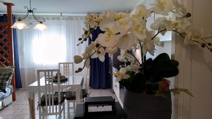 Bel Appartement 55m² Vue Château Et Montagnes - Foix