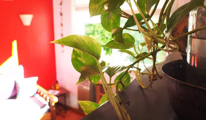 Cozy Studio Flat In Recoleta - Recoleta, Argentina