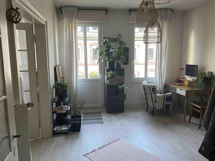 Strasbourg Logement Spacieux Proche Petite France - Strasbourg