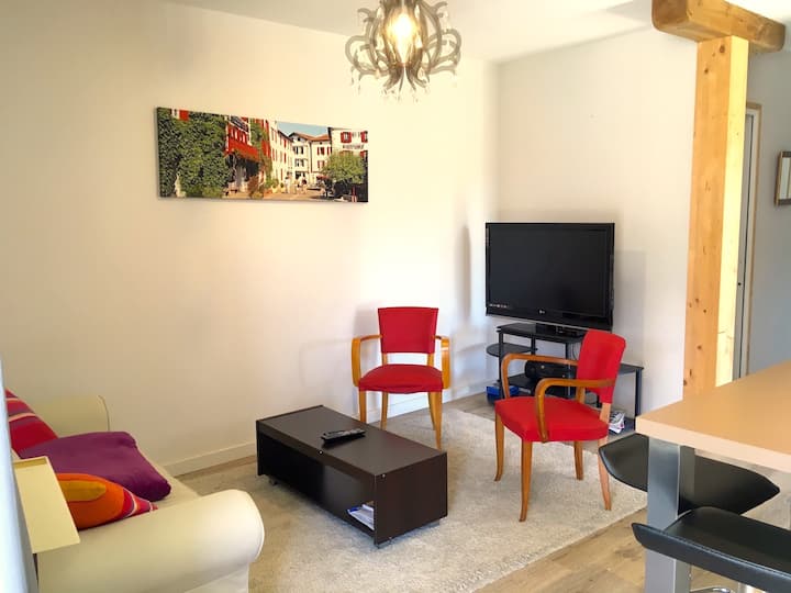 Bel Appartement 4 Pers  Au Pays-basque - Espelette