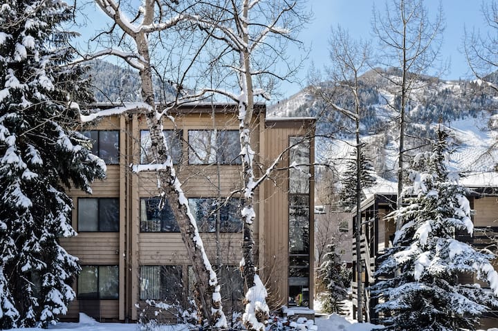 Aspen Vacation Rentals | House and Condo Rentals | Airbnb
