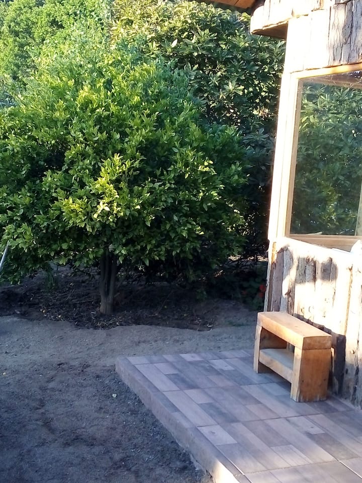 "Cabaña A Pasos De La Playa" - Valparaíso