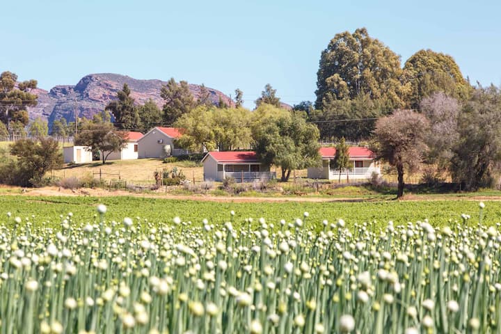 Hazenjacht Karoo Lifestyle - Spitzkop - De Rust