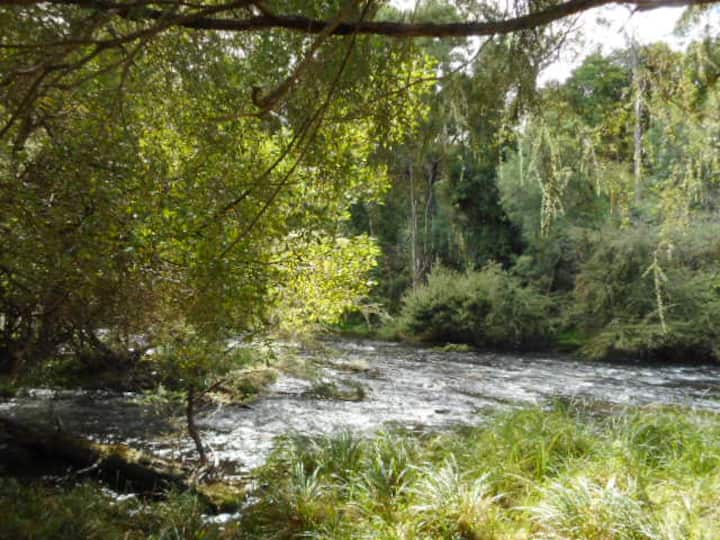 Platypus Den - Currawong Rd