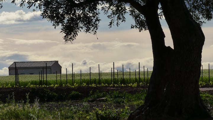La Repose, Maison En Pleine Nature, Près De La Mer - Hérault