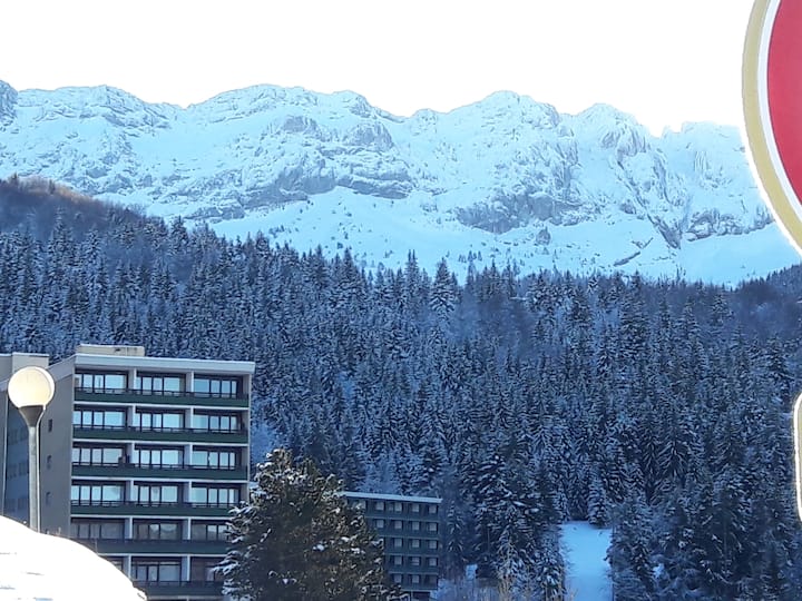Appartement Skis Aux Pieds. ( Linge Non Fourni.) - Villard-de-Lans