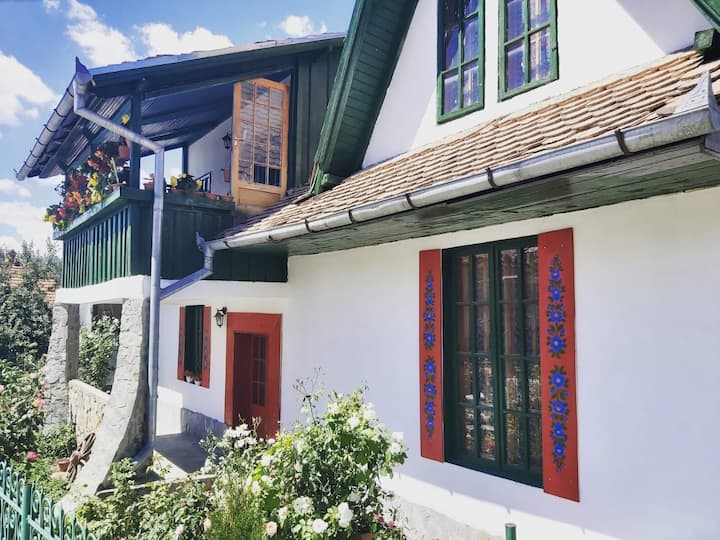 Casa Gagea - Județul Argeș
