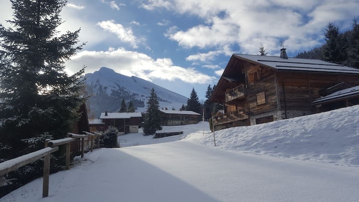 Studio La Clusaz Montagne Pieds Piste Hiver/été - Saint-Jean-de-Sixt