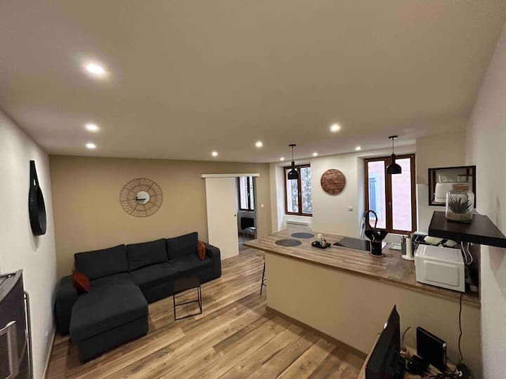 Appartement Chaleureux En Hyper Centre De Gap - Gap
