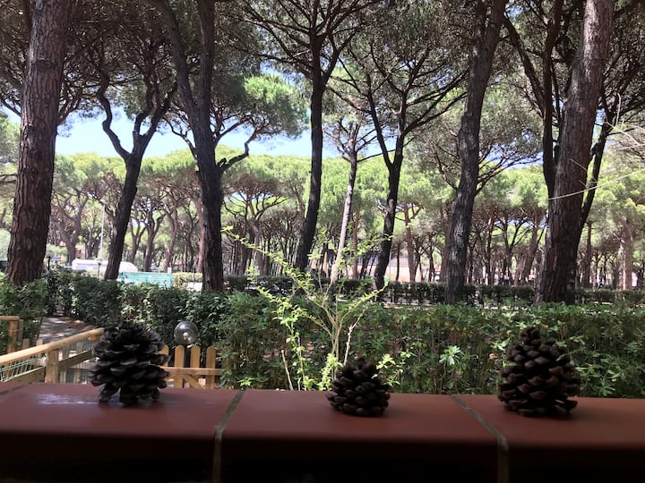 La Casetta In Pineta  A Pochi Passi Dalla Spiaggia - カスティリオーネ・デッラ・ペスカーイア