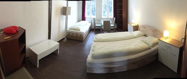 Apartment In The Centre Of Decin 2 - Děčín