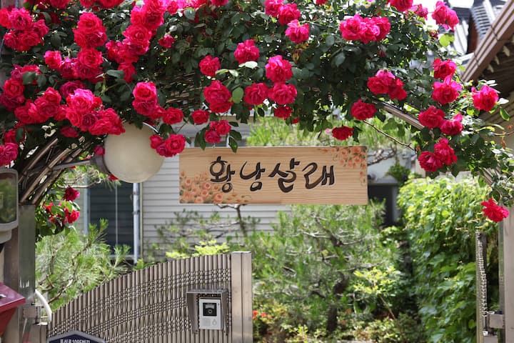 [황리단길] 황남살래 독채민박 - 용강동