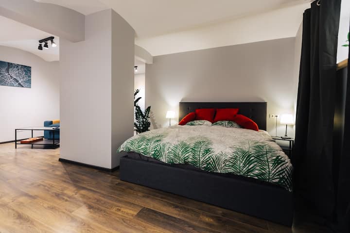 Cozy Central Studio With Sauna & Private Entrance - Ryga