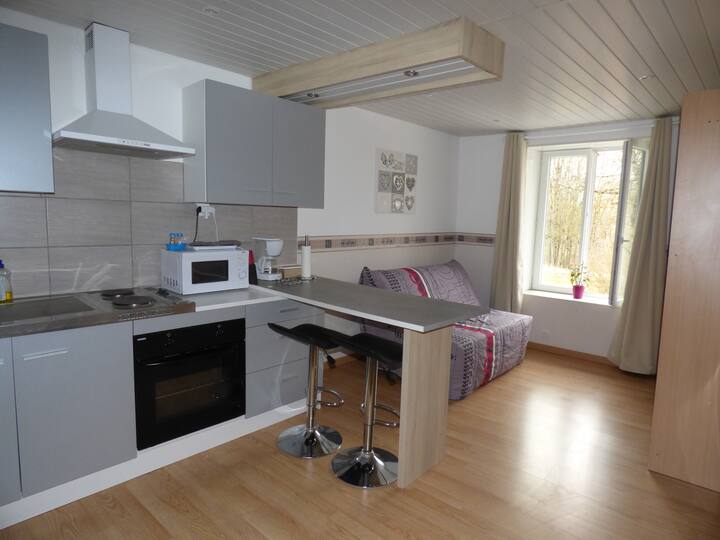 Appartement 23m2 Entierement Renove - Vittel