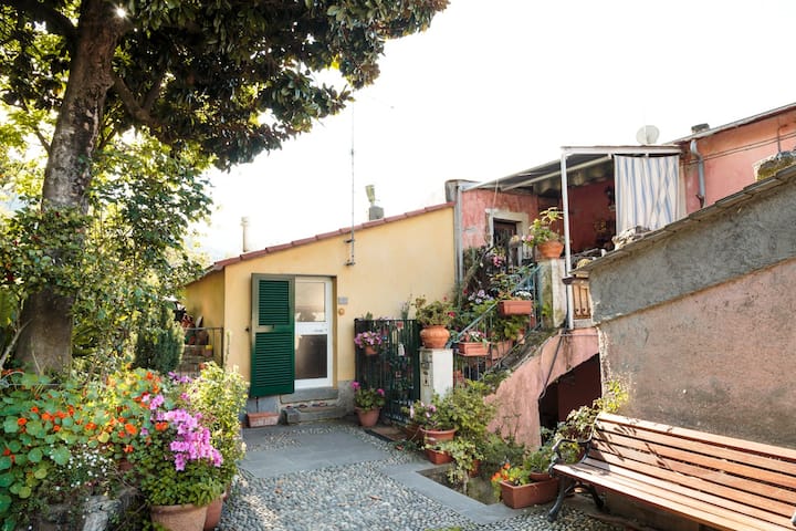 Typical Small House On The Hill - Bonassola