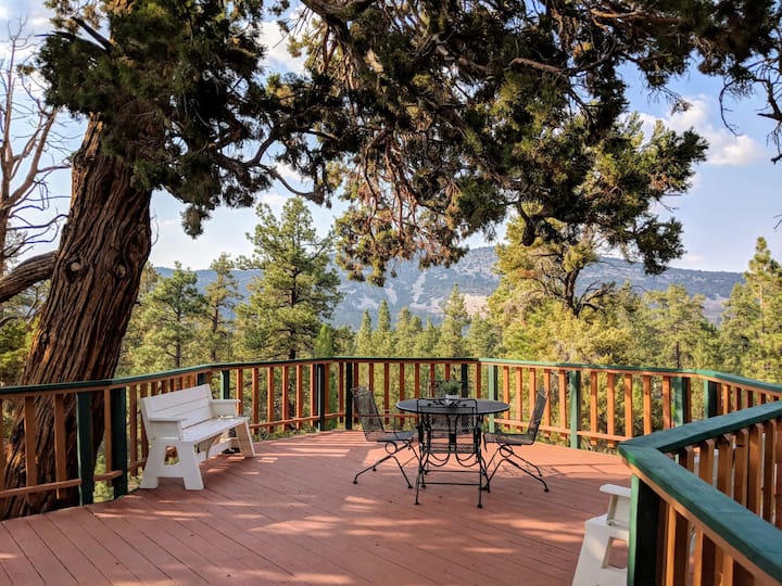 Big Bear Cabin High In The Trees - Big Bear, CA