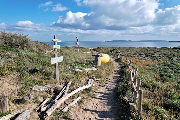 Teva - Presqu'île de Giens