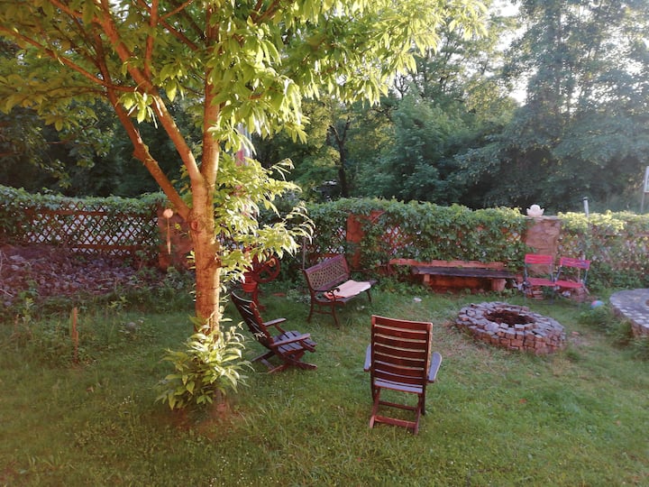 Paradiso - Wels