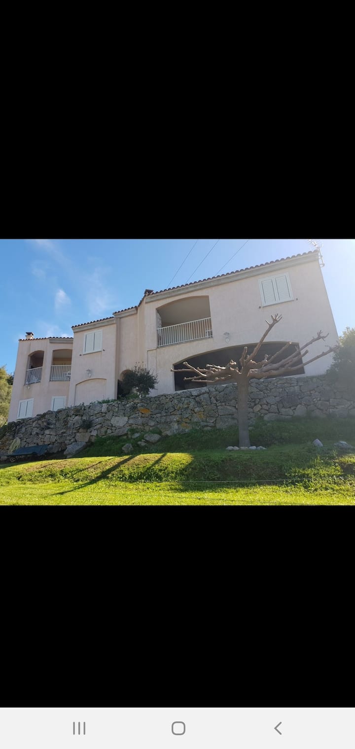Assuliu  2 à Proximité Des Plages. - Propriano