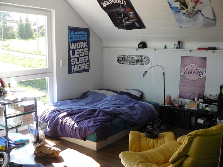 Vue Spectaculaire Sur Lac, Alpes / English-german - Nyon