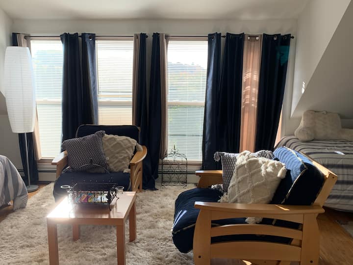 Scandanavia Loft Near Blue Mountain Ski Resort - Palmerton, PA