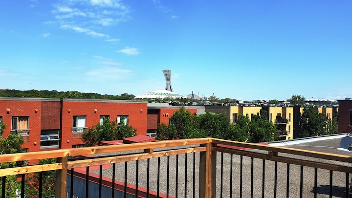 Hochelaga Superbe Logement Avec Vue Exceptionnelle - Montreal