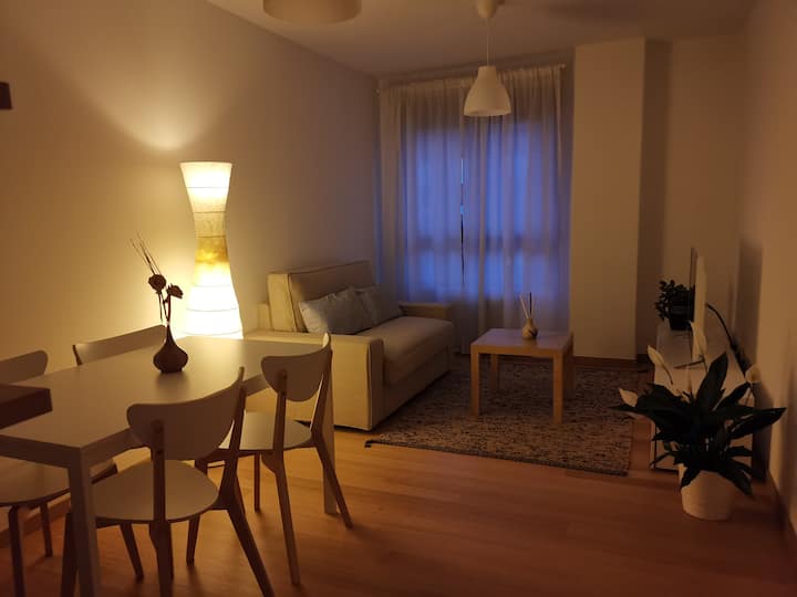 Apartamento Turístico Céntrico. - Santiago de Compostela