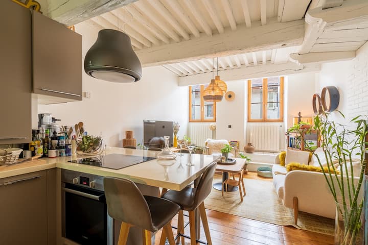 Modern 3 Bedroom Triplex 100sqm Lake - Annecy