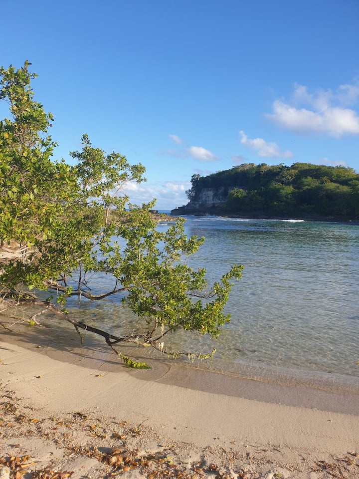 Votre Havre De Paix. Grande Villa, Tout Confort. - Guadeloupe