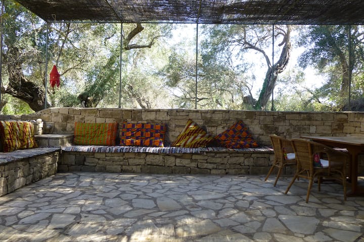 Irini Big House, Paxos Island, Ionian Sea - Paxi