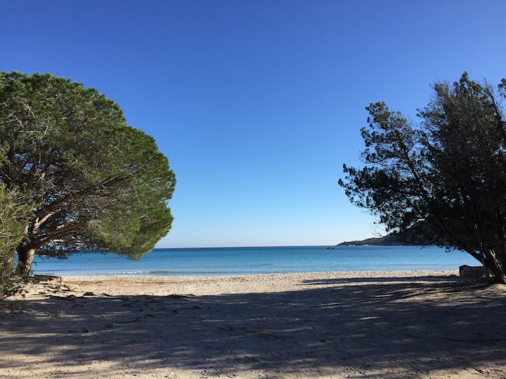 Maison En Pleine Nature Au Calme (6) - Porto-Vecchio