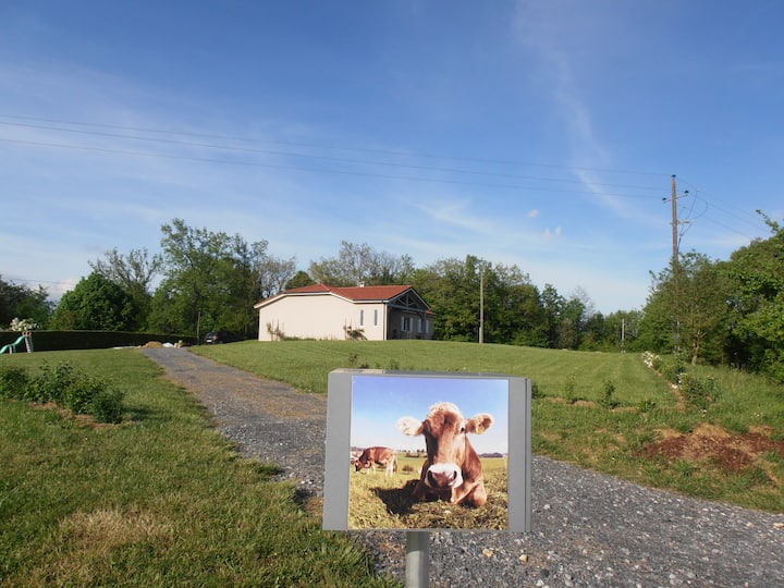 Maison En Campagne Marciac - Marciac