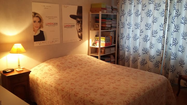 Lyon - Gde Chambre Avec Sdb, Parc De La Tête D'or - Lyon
