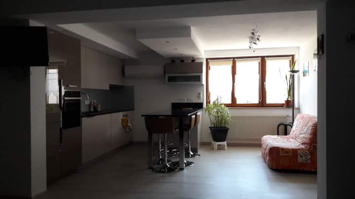 Gite" Les Tilleuls" - Châtenois