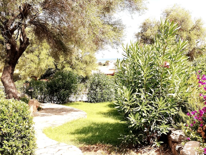 Maison Calme Et Cosy Avec Jardin Et Parking - San Teodoro