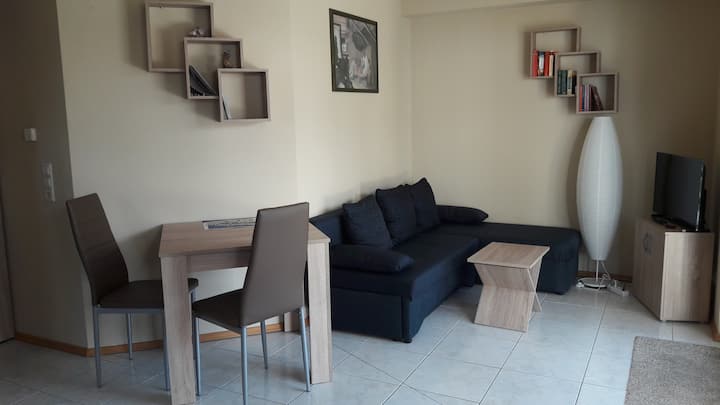 Ferienwohnung Andy, 1 Zimmer 30 M², Große Terrasse - Bodensee