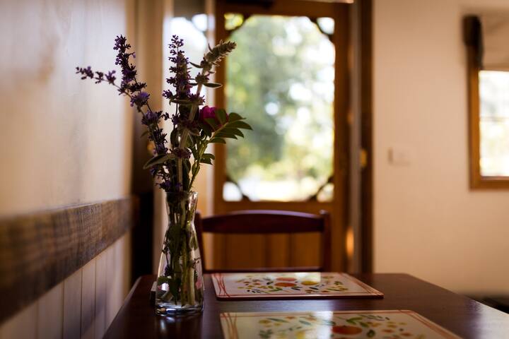 Blackwood Park Cottages - Pioneer Cottage - Mole Creek