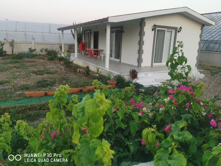 Ortaca Müstakil Kiralıkev - Dalaman