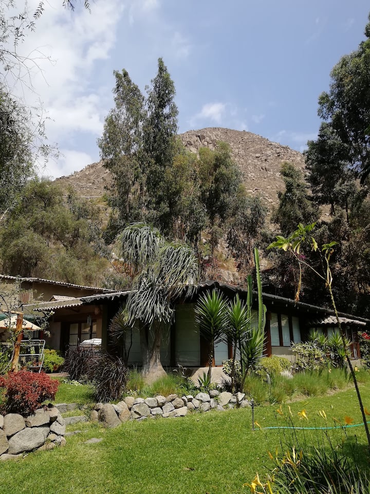 Campo En Santa Eulalia - Santa Eulalia