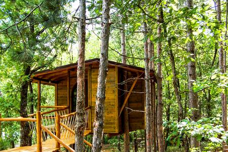 Halkidiki Kiralık Tatil Evleri ve Evler - Yunanistan | Airbnb