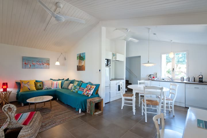 Là Où La Vie Est Plus Belle... - Plage de Palombaggia