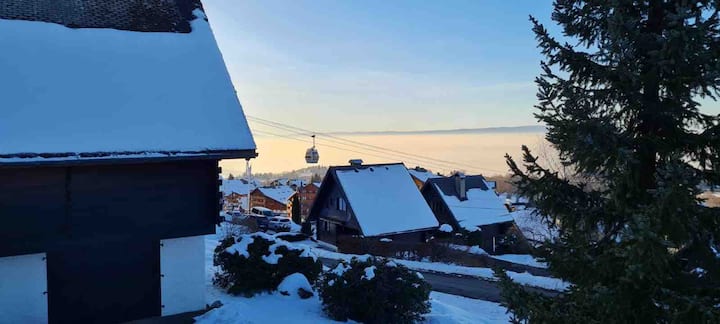 Come Take A Rest In Our Skäli ! -19m2- - Lugrin