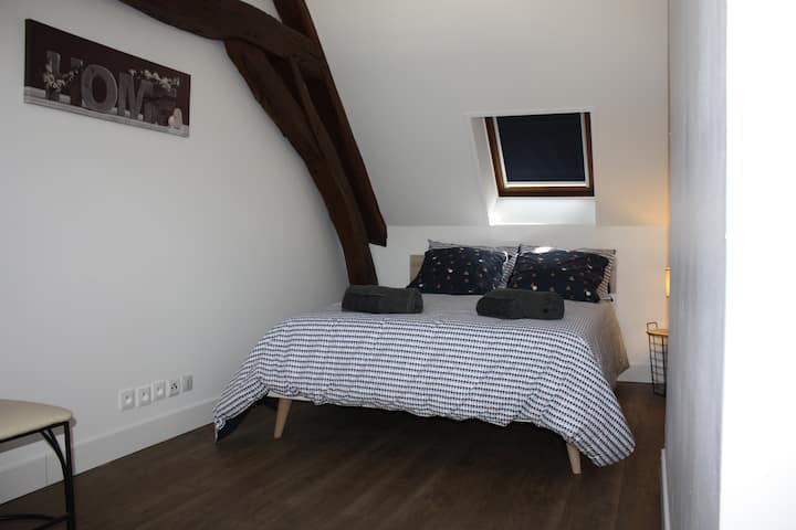 Le Duplex Des Vieux Fossés - Romorantin-Lanthenay