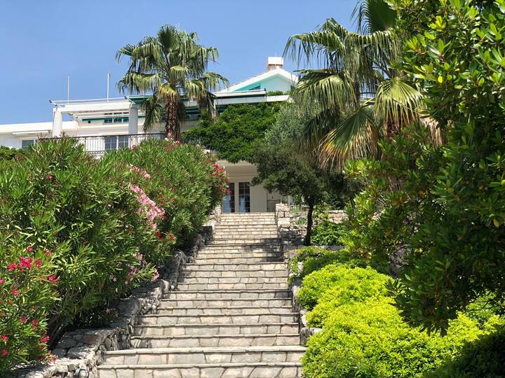 Villa Anzhero (Zanjice Beach (Lustica)) - Monténégro